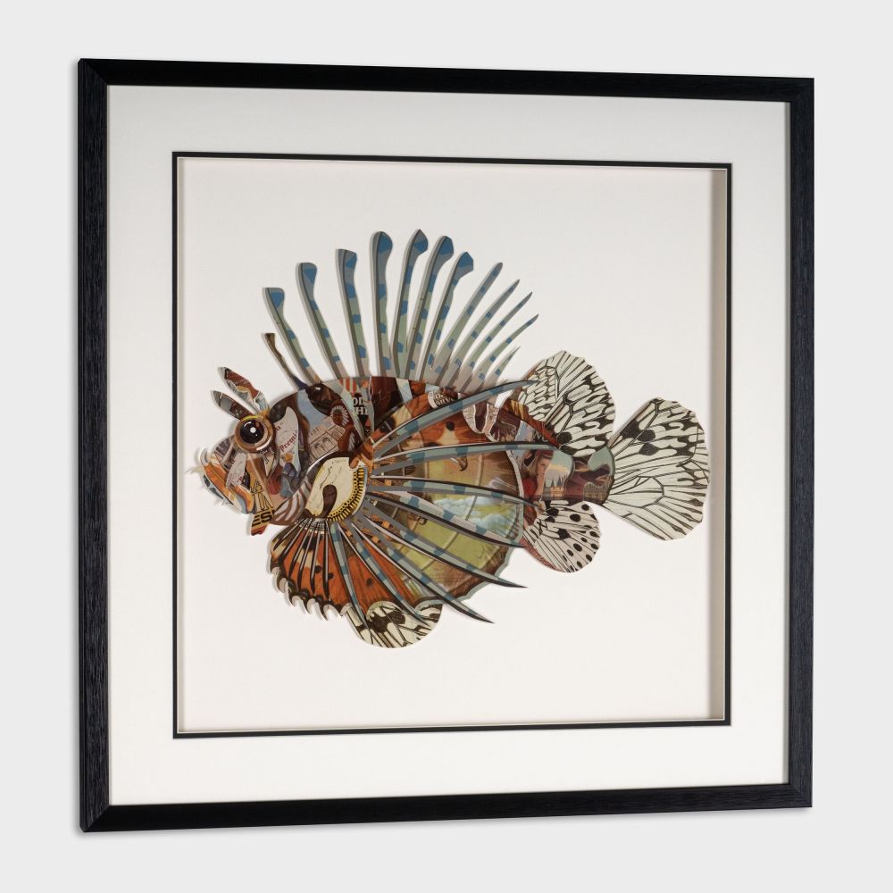 Lionfish Labyrinth, Shadow Box